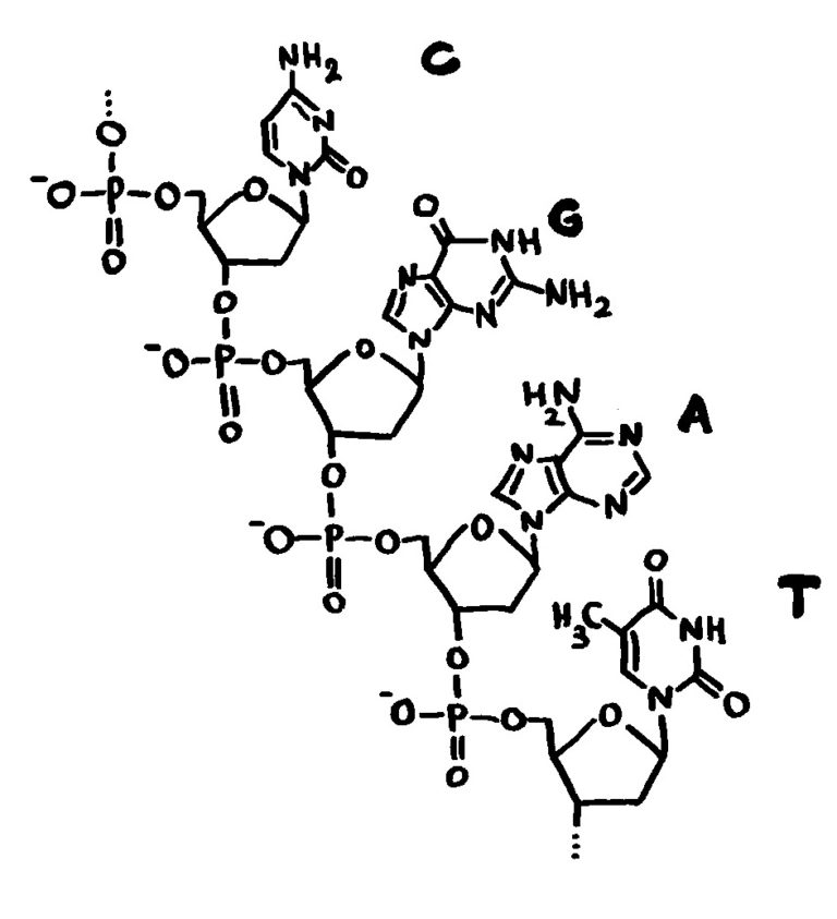 Phosphat | Friendly Fire