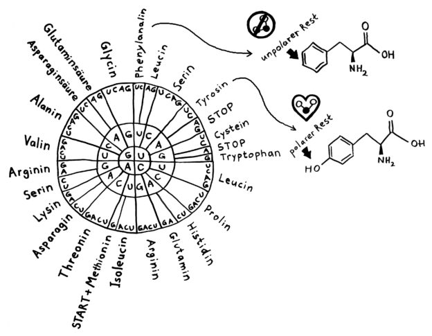 Abb. 76: Die Code-Sonne | Friendly Fire